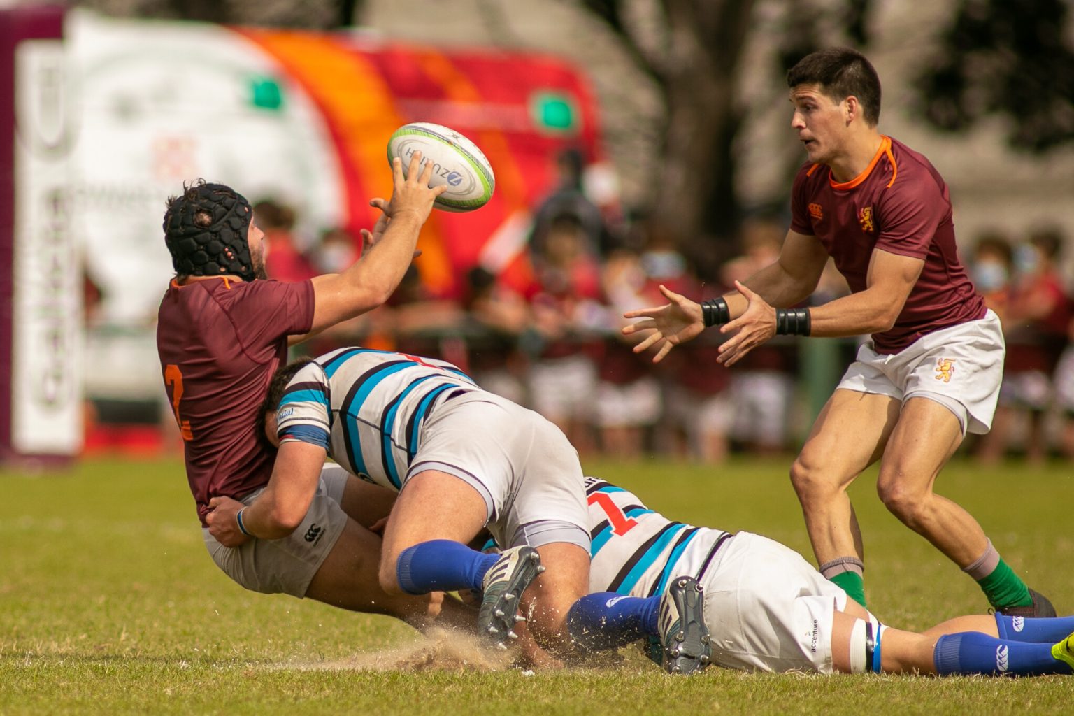 Newman es el único puntero de un Top 12 que ya no tiene invictos ...